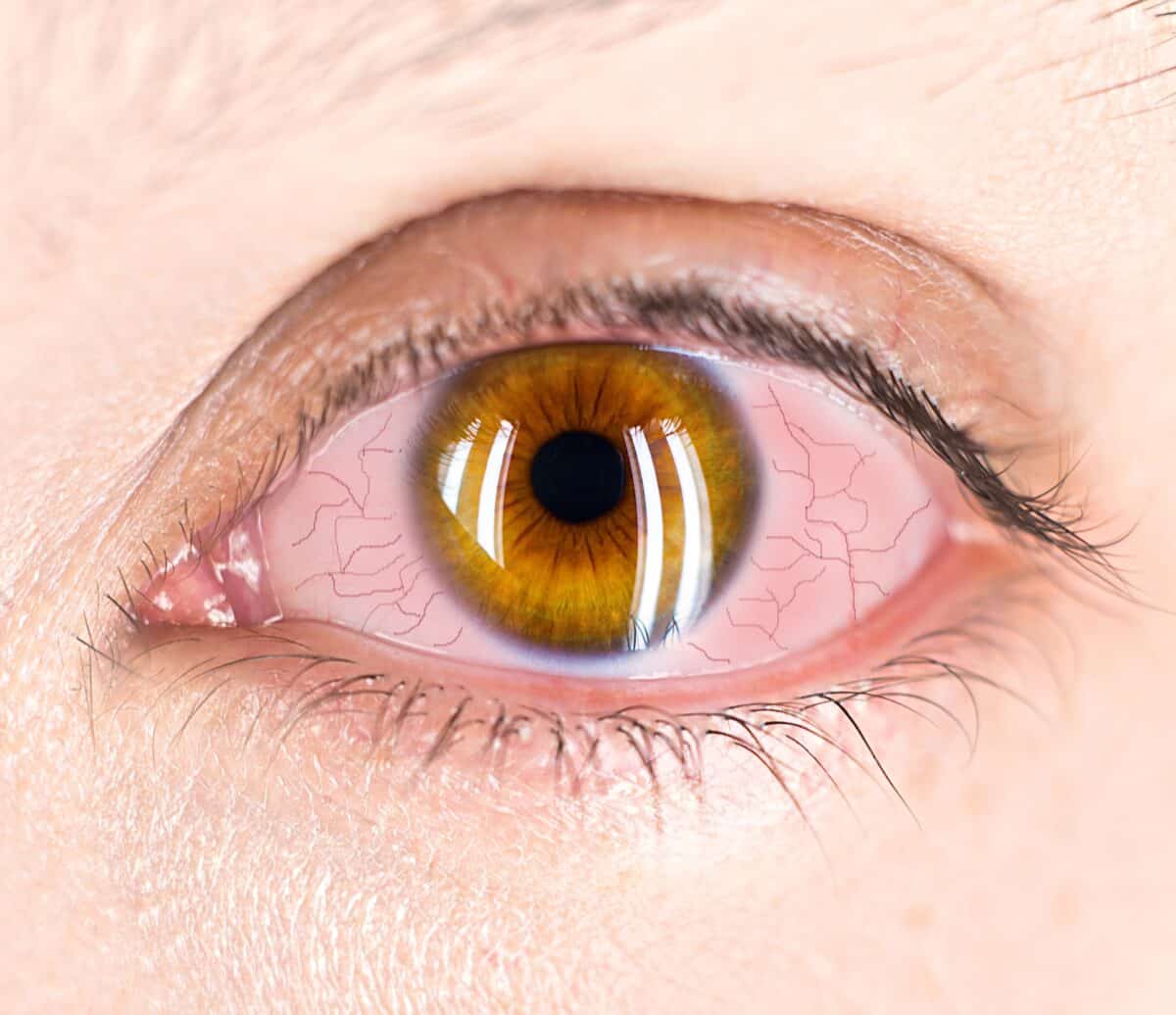 Weber Vision Care Eyewear Contacts Exams Of Harrisburg Pa 3518